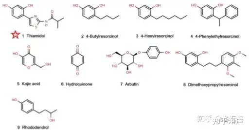 377 和 577 都是网红美白成分，到底谁更猛？577 会接棒成为新的美白顶流么？ - 知乎