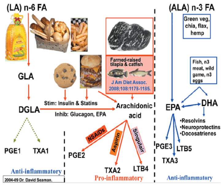 ARA是什么，有必要给孩子补充ARA吗？ - 知乎