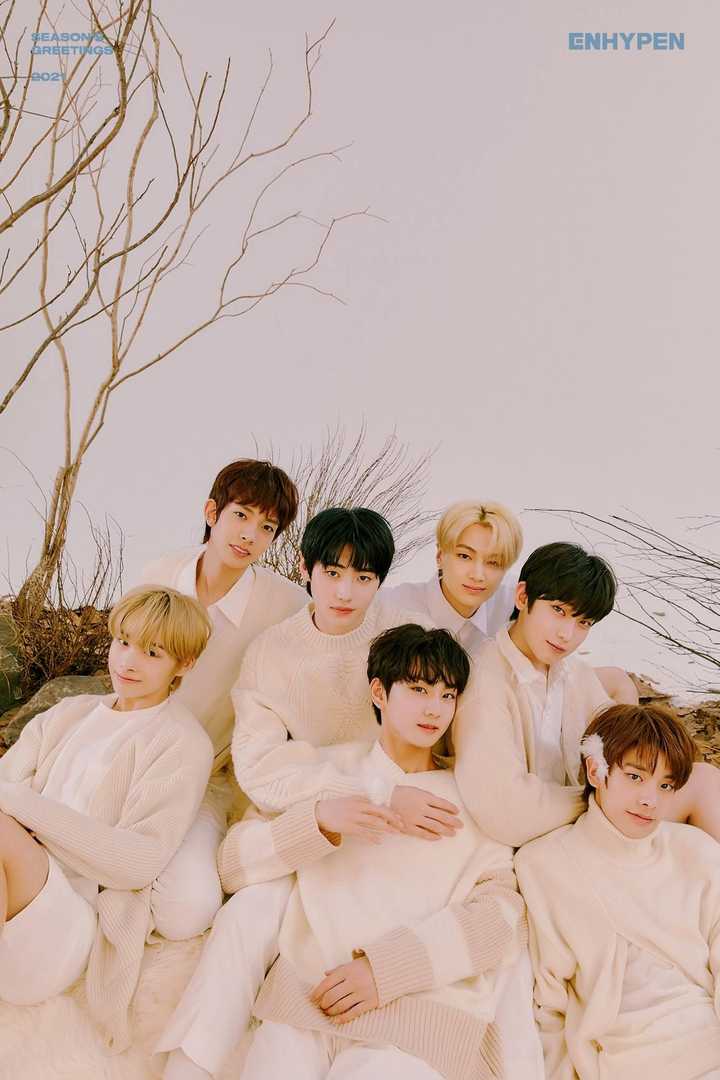 可以介绍一下ENHYPEN男团吗？ - 知乎