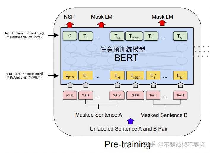 Bert的预训练和微调的区别? - 知乎