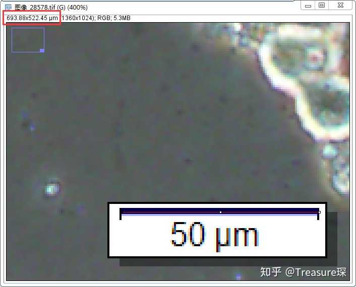 imageJ如何添加比例尺？ - 知乎