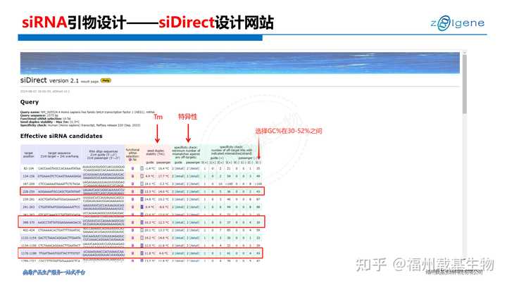 shRNA设计原则是什么？ - 知乎