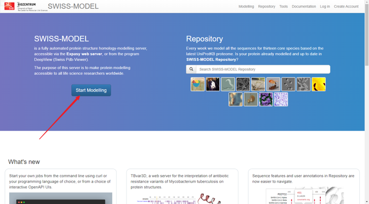 Swiss model 的预测结果GMQE和QMEAN4，是什么意思？ - 知乎