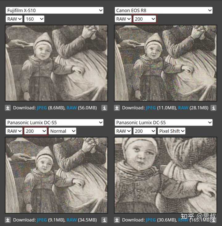 摄影大神们，佳能R8，松下S5，富士XS20怎么选？ - 知乎