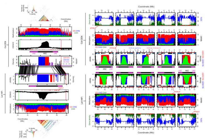 一文讲明白ChIP-seq：高分文章里为什么做ChIP-seq? - 知乎