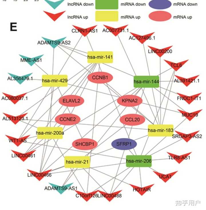 总能刷到生信分析，生信分析真的有这么重要吗，它到底有什么用？ - 知乎