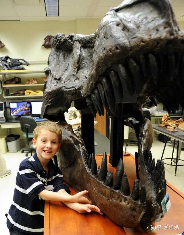 历史上存在很多体型更大更残暴的肉食恐龙，为什么霸王龙最出名？ - 知乎