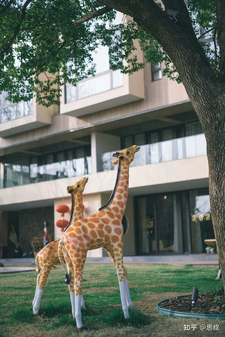 新手想入佳能r62应该怎么选？ - 知乎