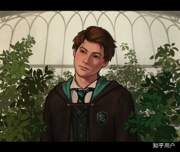 如何评价游戏《霍格沃茨之遗》中的塞巴斯蒂安·萨鲁（Sebastian Sallow）? - 知乎