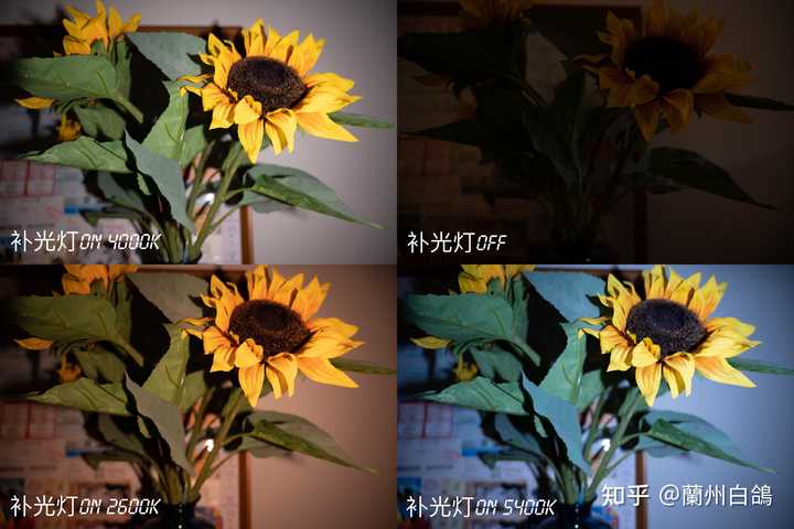 智云新出的WB3S和WB3有啥区别？ - 知乎