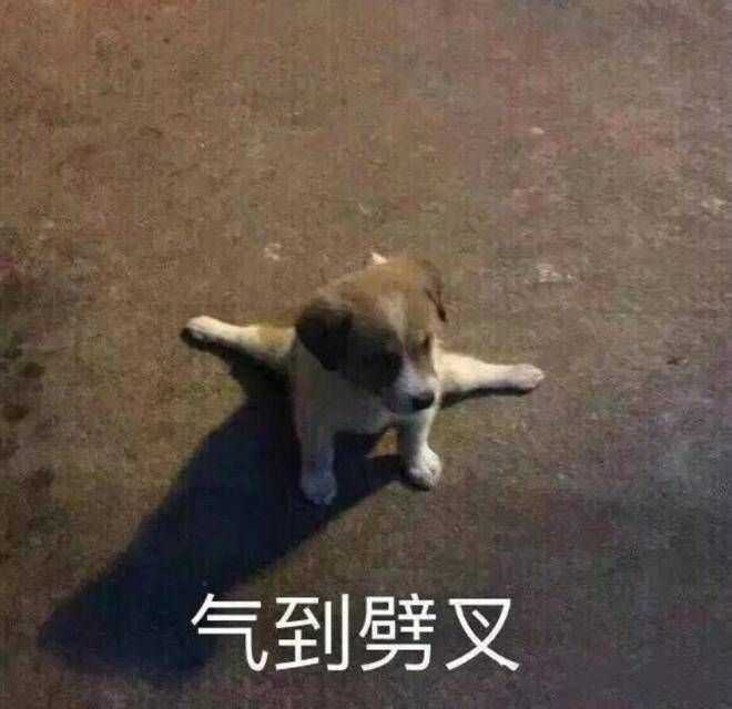 你有哪些非常搞笑的表情包？ - 知乎