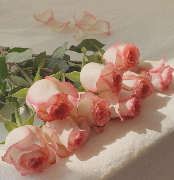 怎么理解「只有经济独立，才能真正做到人格独立」？ - 知乎