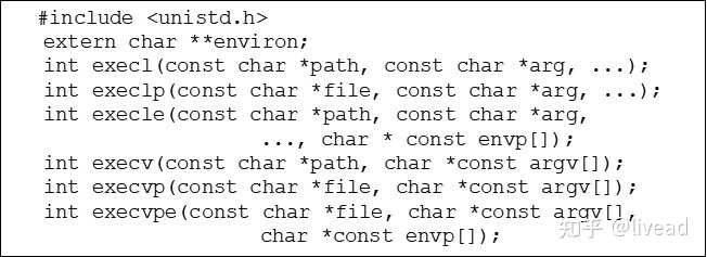 linux-exec