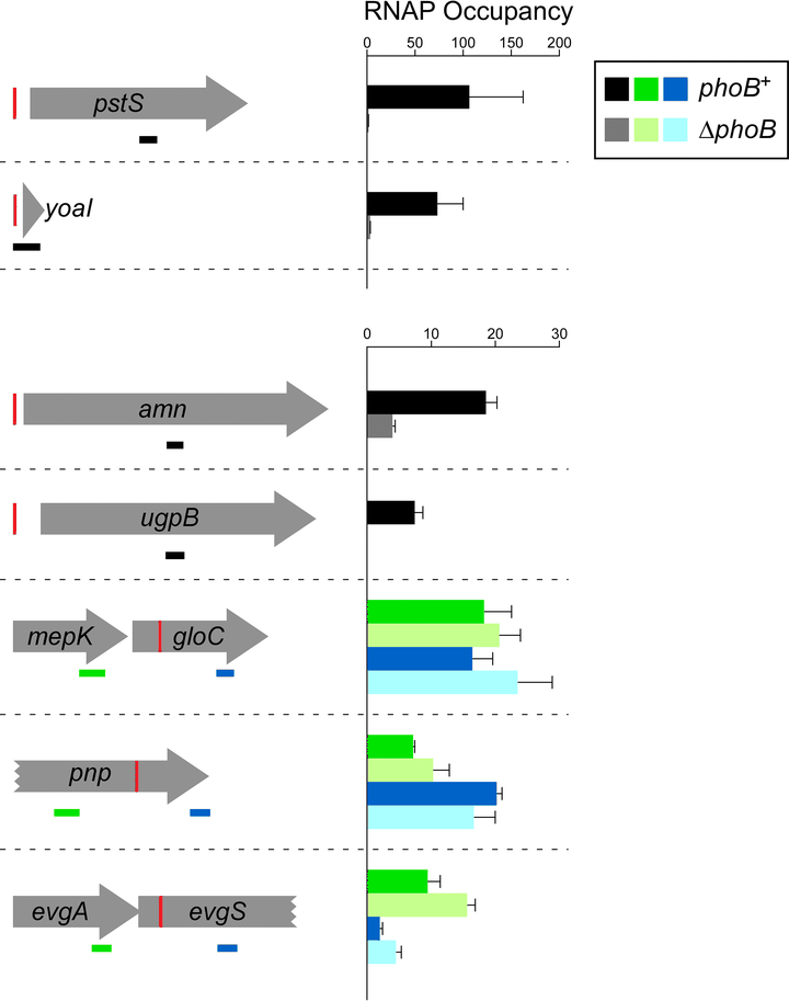 蛋白质DNA互作研究，选ChIP还是CUT&Tag? - 知乎