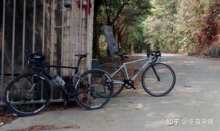 公路车，新手2000左右入门推荐？ - 知乎