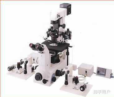 显微镜的类型和作用有哪些？ - 知乎