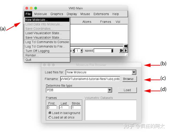 分子动力学模拟VMD基础教程有哪些？ - 知乎