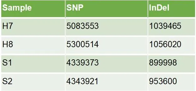 基因组测序获得了HiFi、Hi-C和DNB数据，后续应该如何分析？ - 知乎