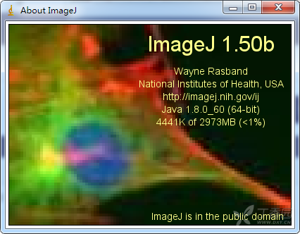 imageJ批量测量所选区域面积? - 知乎