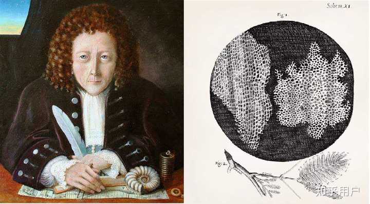 光学显微镜发展史是什么样的？ - 知乎