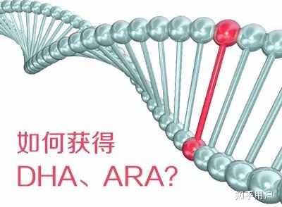 婴儿奶粉成分系列之三：为什么都要DHA和ARA？ - 知乎