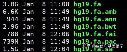 hg19和hg38有什么区别？ - 知乎