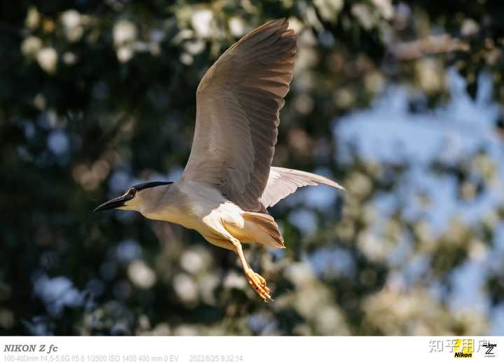 大佬们，尼康z系列怎么选? - 知乎