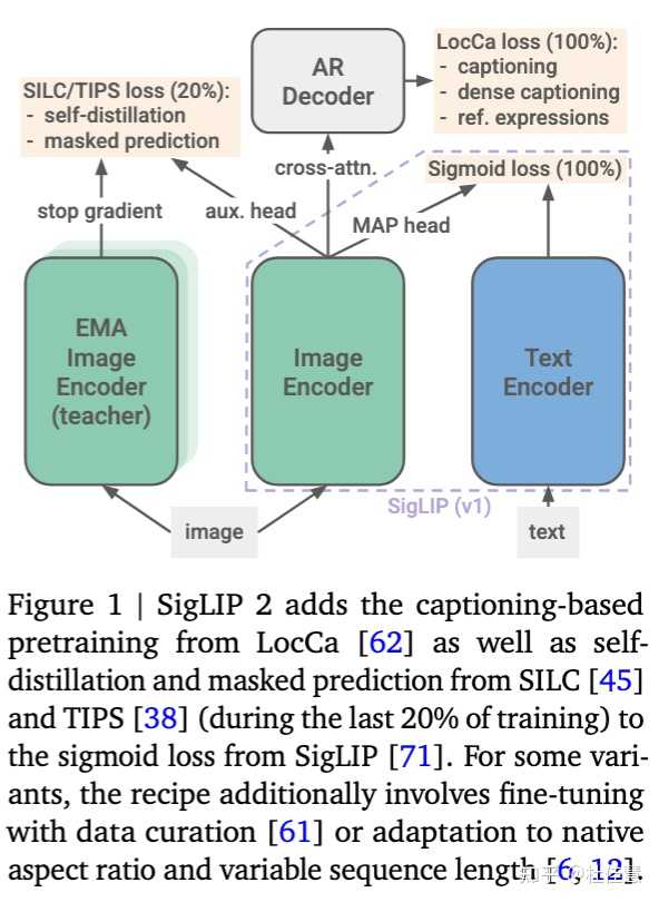 如何评价Google开源的最新视觉编码器SigLIP 2? - 知乎
