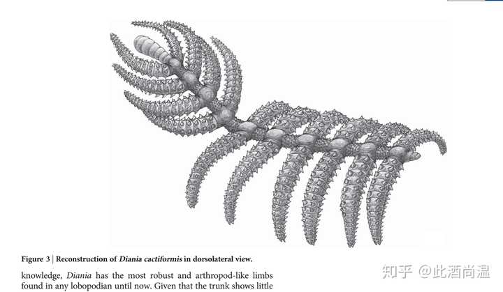 节肢动物，恐虾纲，异虫纲三者之间的演化关系是怎样的？ - 知乎