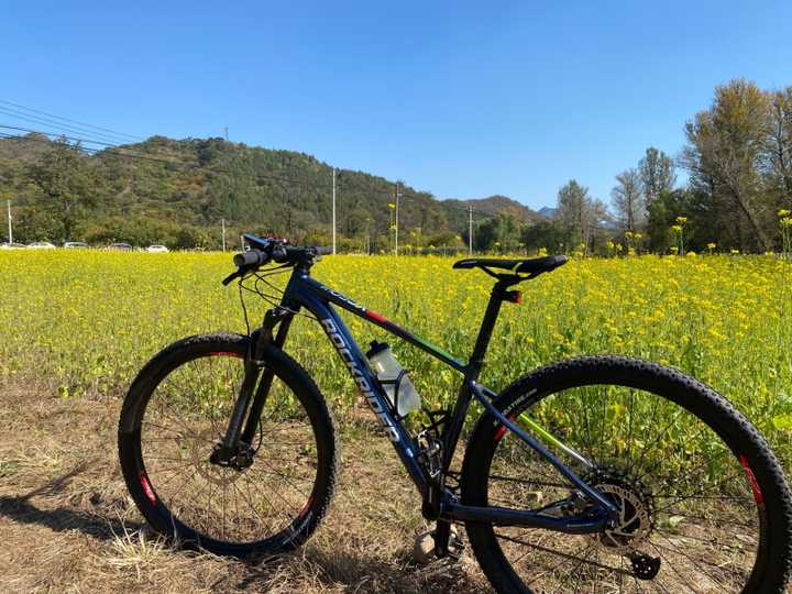 迪卡侬XC50和喜德盛侠客800Pro，哪个性价比高？ - 知乎