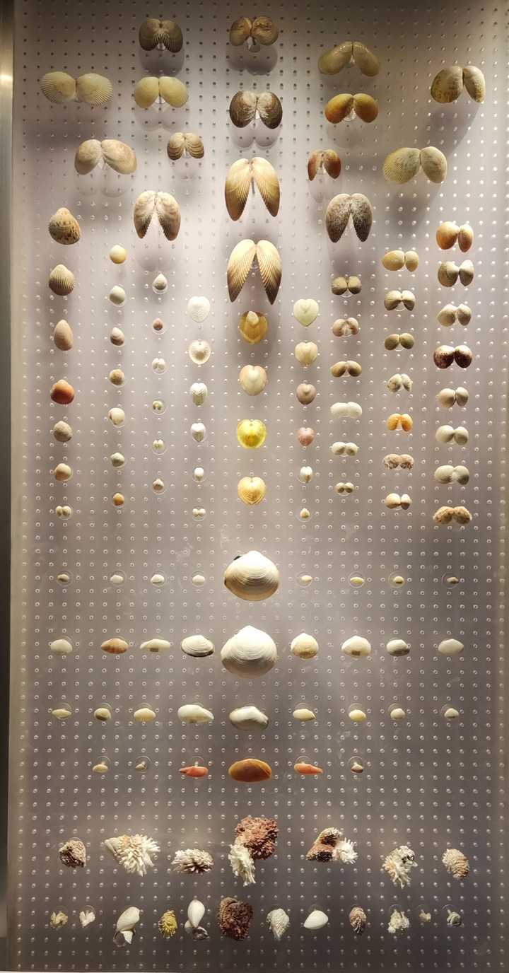 如何看待Valse 2022？ - 知乎