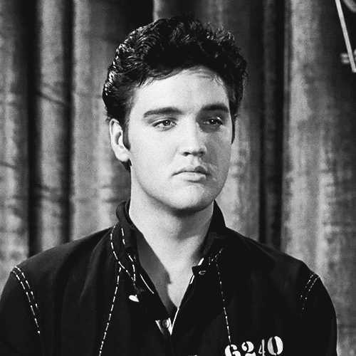 猫王（Elvis presley）当年有多火? - 知乎