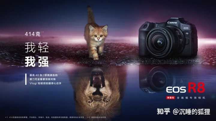 索尼A7M3还是佳能R8？ - 知乎