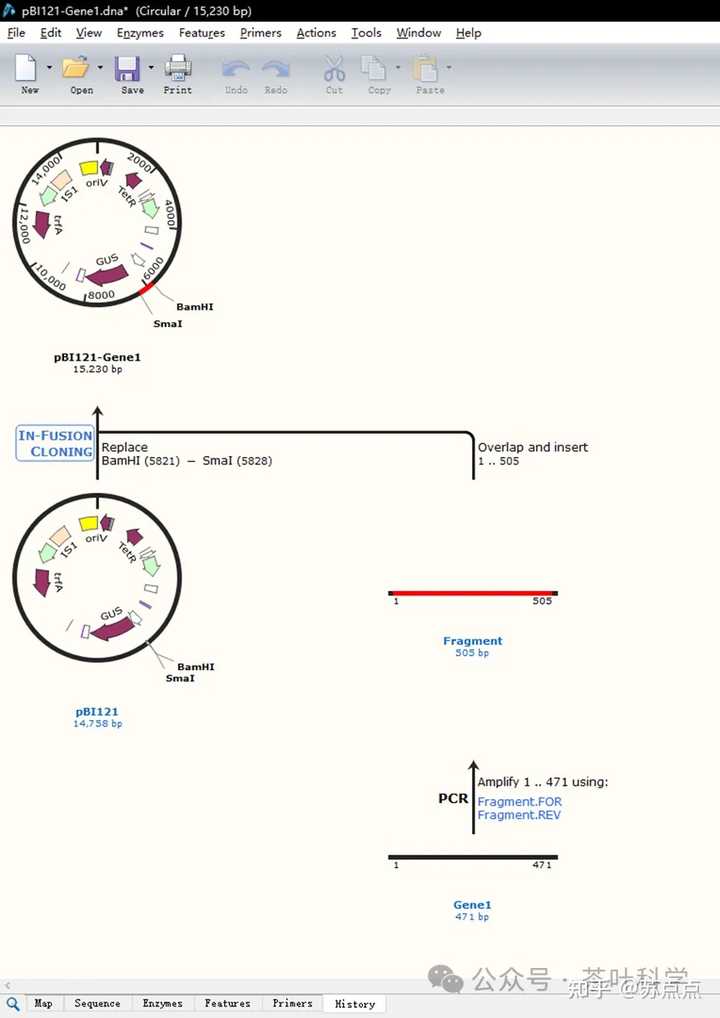 snapgene如何插入目的基因? - 知乎