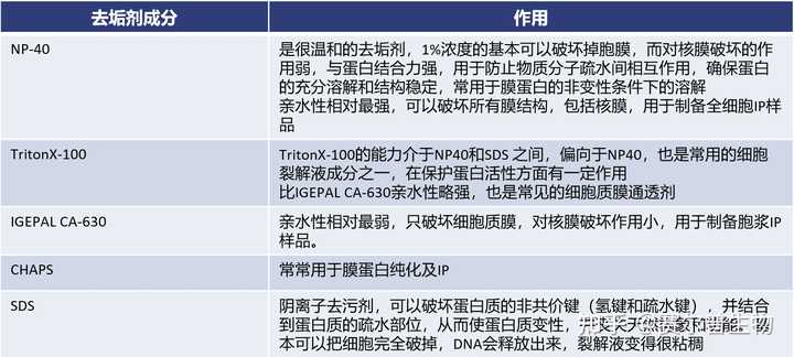 能讲解一下ChIP qPCR实验的详细步骤吗? - 知乎