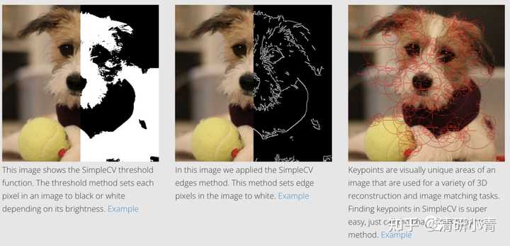 计算机视觉（CV）的算法有哪些，具体都有哪些特点？ - 知乎