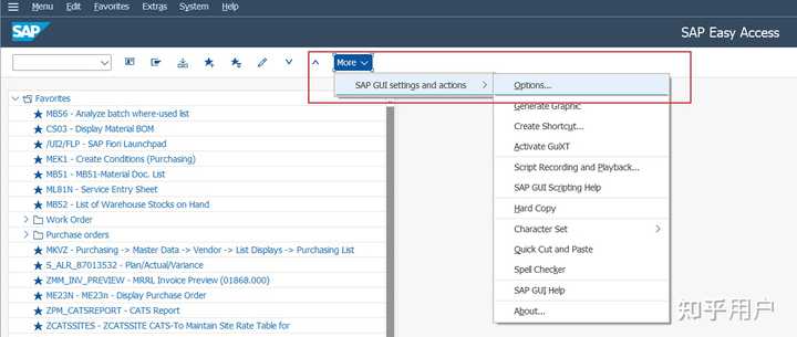 sap gui 750如何设置成740风格？ - 知乎