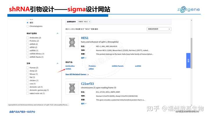shRNA设计原则是什么？ - 知乎