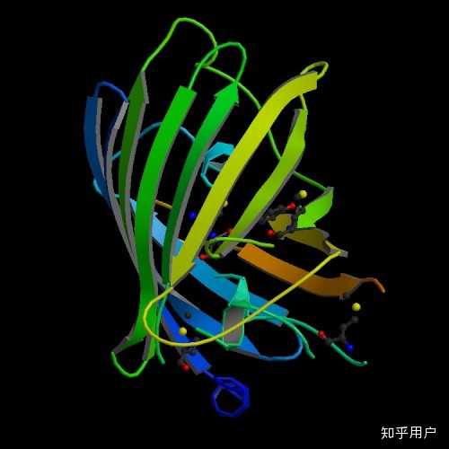 DR5::DR5:GFP这个表示什么意思啊，其中的符号有什么意义么？ - 知乎