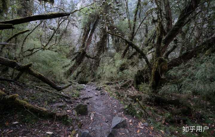 一直用m43的你，换了apsc或全画幅后，是什么感受？ - 知乎