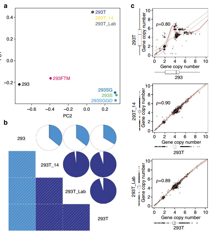 HEK293的故事？ - 知乎