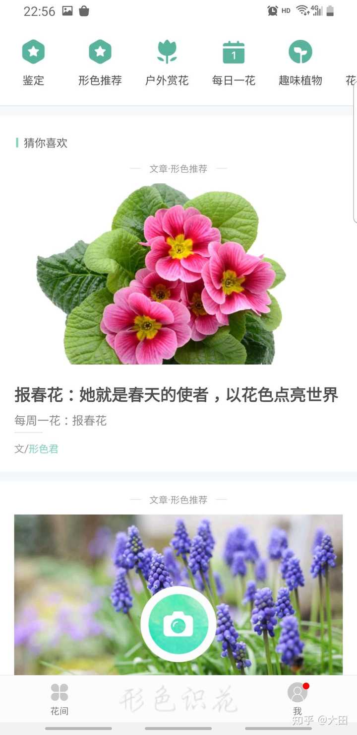 哪款扫一扫就能识别植物的app好，推荐一下呢？ - 知乎