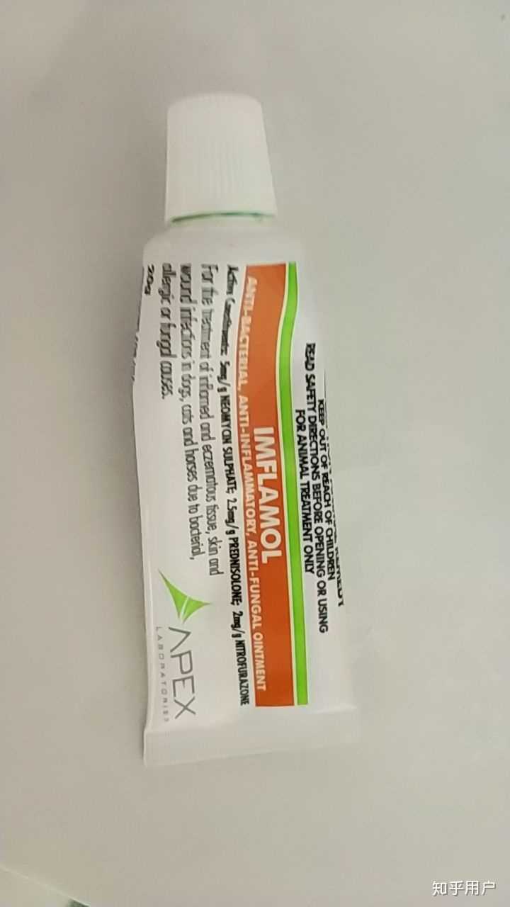 猫咪为什么会黑下巴，怎么解决呢？ - 知乎