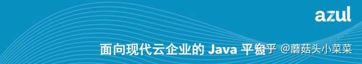 Azul Systems 是家什么样的公司？ - 知乎