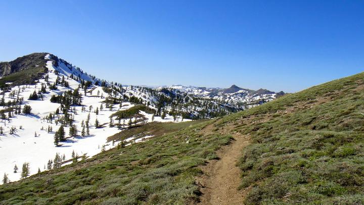 WSER 2015年参赛资格变化 - 知乎