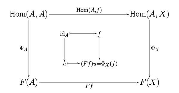 随机科普: Enriched Yoneda's Lemma - 知乎