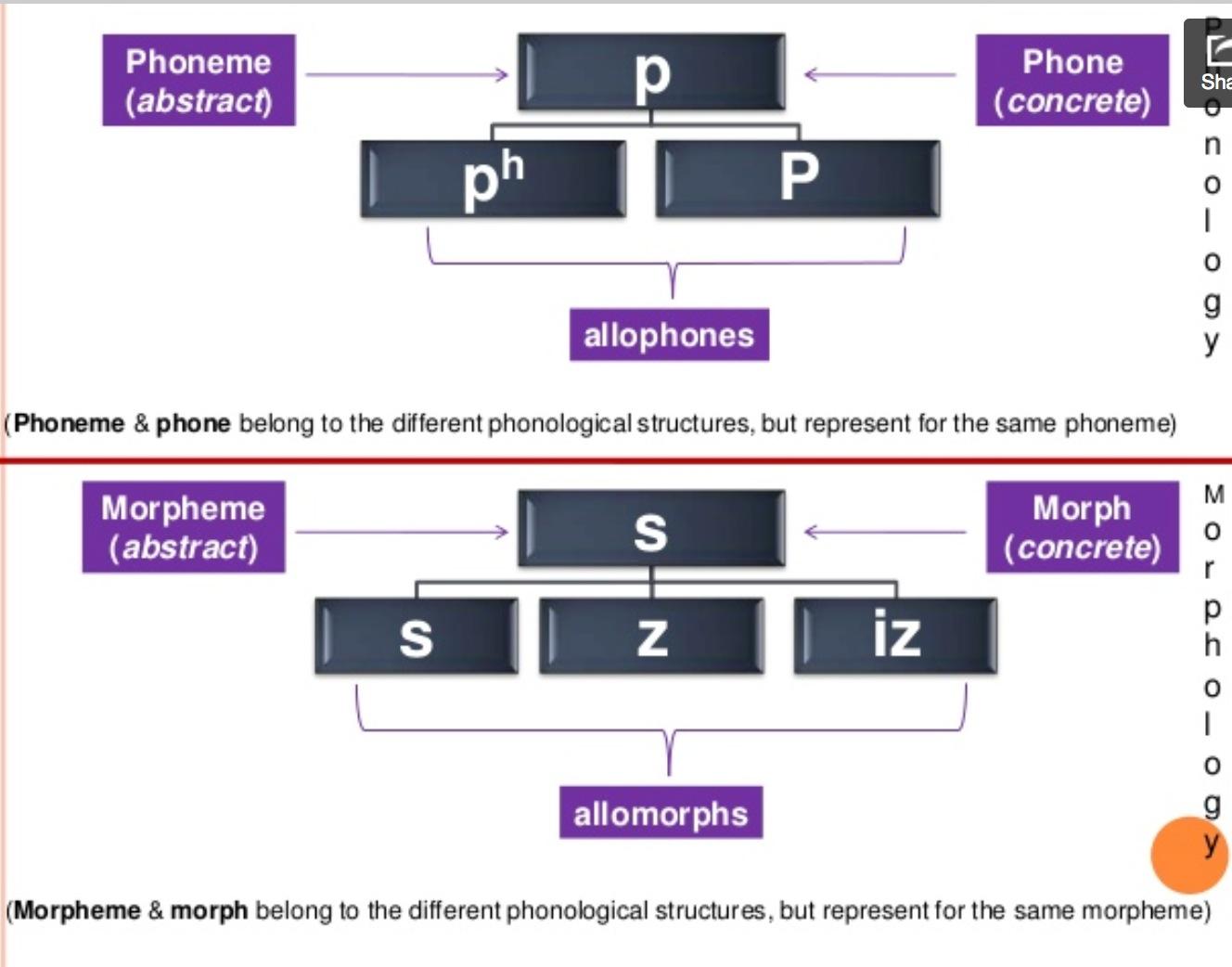 morph，morpheme 和 allomorph 的区别及关系是什么？ - 知乎