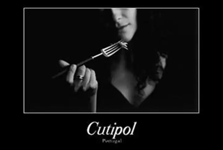 介绍一下Cutipol这个牌子？ - 知乎