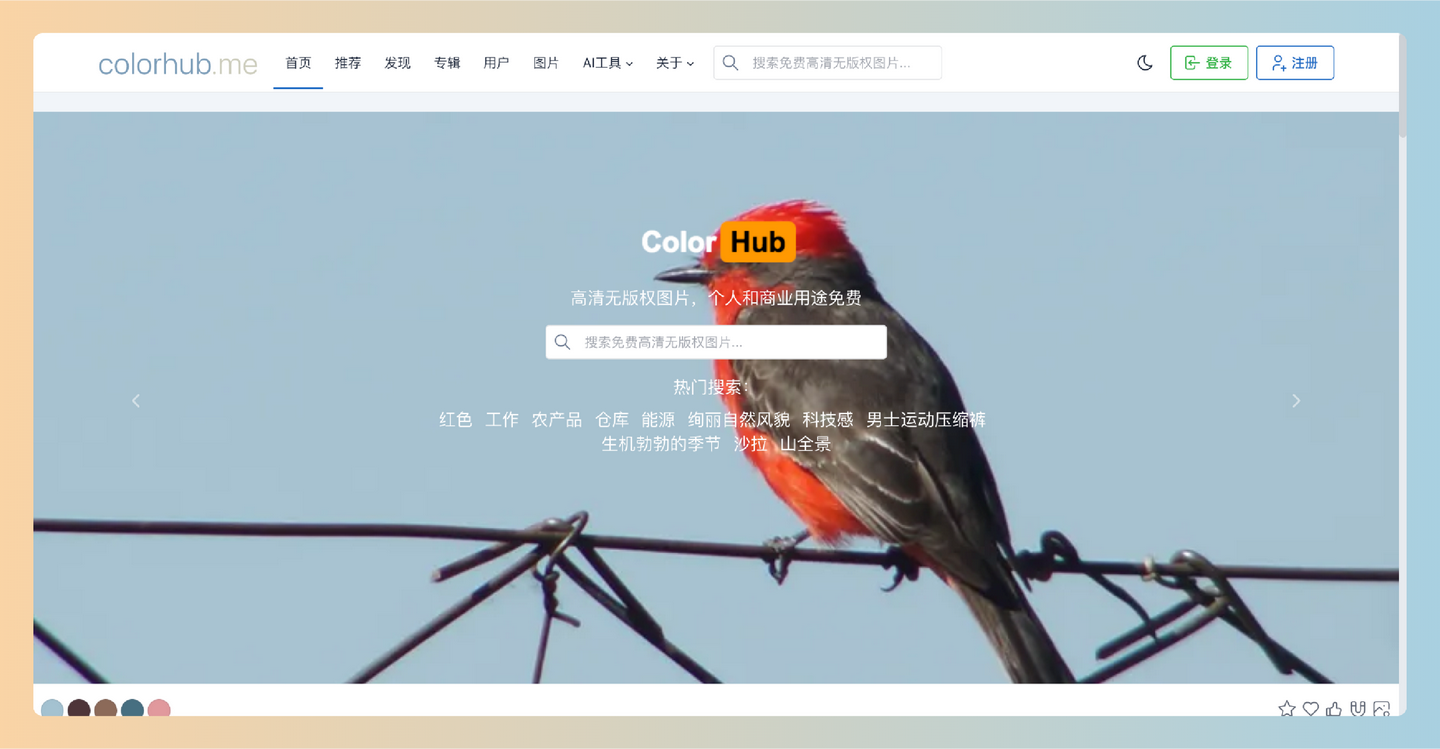 ColorHub：免费高清无版权图片素材，支持个人和商业用途，内含强大的AI工具，轻松满足各种创作需求！