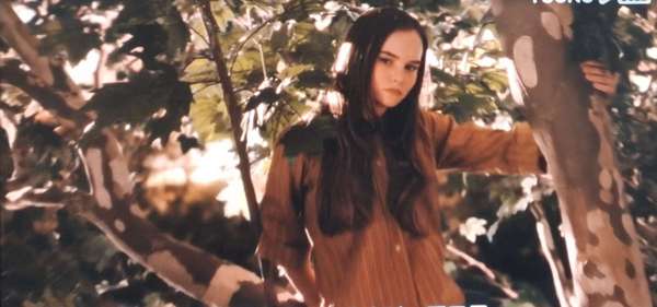 555秒 的想法: The sycamore tree 整体大于部分之和。树… - 知乎